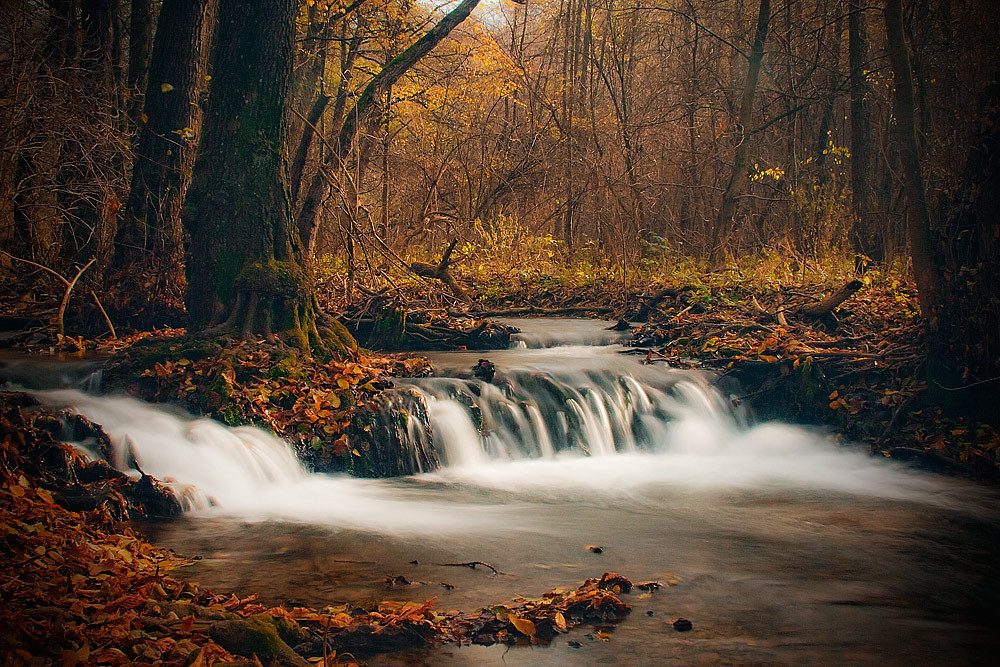 Bosques Magiares y Budapest | Geographica. Viajes de senderismo y montaña