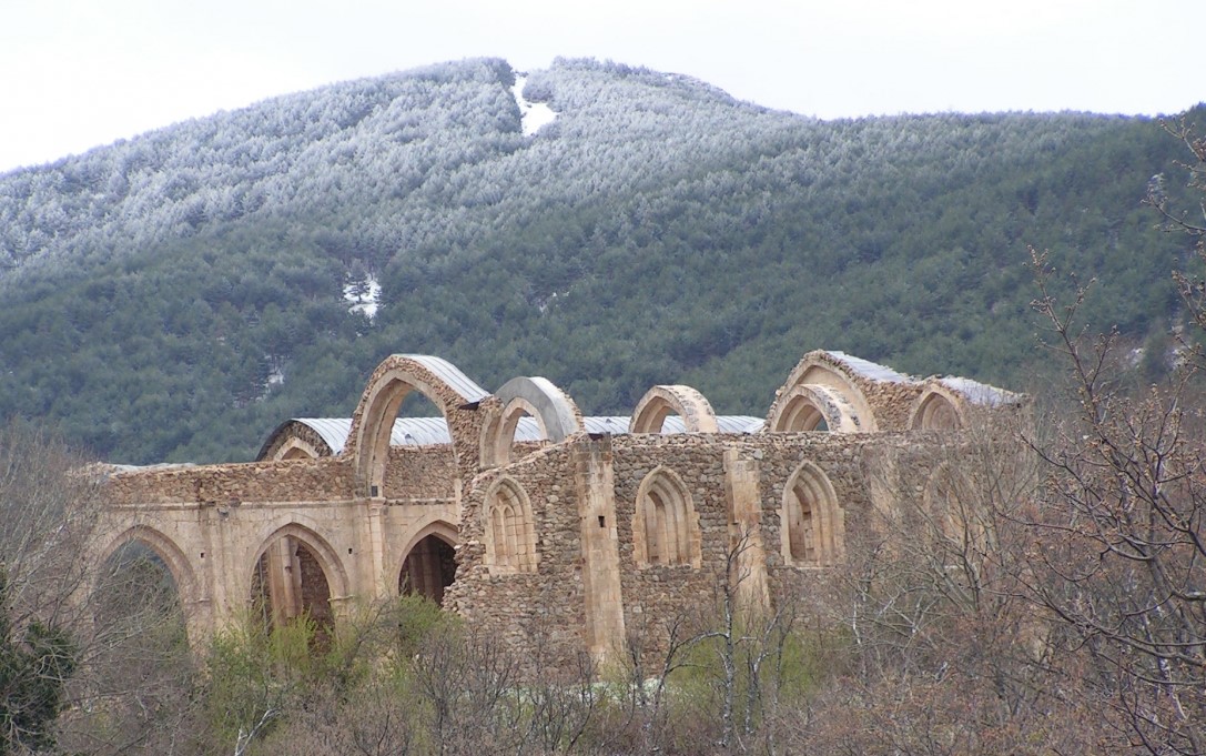 Pinares de Collado Hermoso | Geographica. Viajes de senderismo y montaña